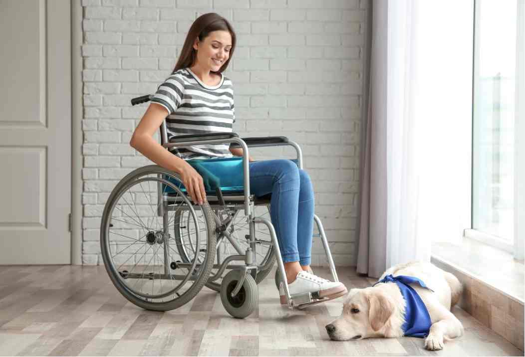 10 Service Dog Breeds For Assisting People With Disabilities - Puppies ...