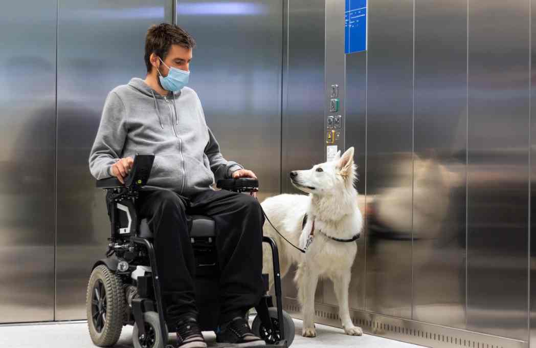 10 Service Dog Breeds For Assisting People With Disabilities - Puppies ...